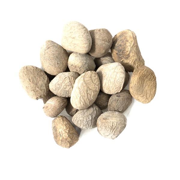 Jual Kluwek Picung Pucung Kepayang Keluwak Bumbu Masakan Bumbu rawon ...