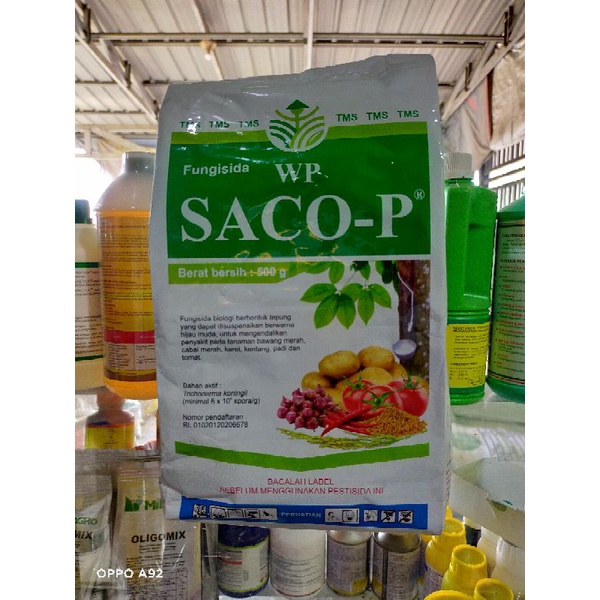 Jual Saco-p fungisida trichoderma koningii anti layu Fusarium penyakit ...