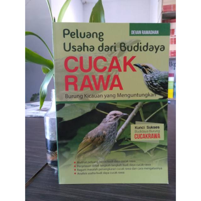 Jual Peluang Usaha Dari Budidaya Cucak Rawa - Devan Ramadhan | Shopee ...