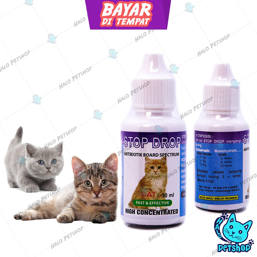 Jual STOP DROP 30ml Obat Antibiotik Gejala Sakit Flu Batuk Pilek Kucing ...