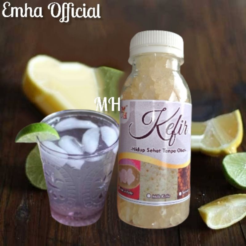 Jual bibit alga kristal Jepang water kefir premium ukuran super besar ...