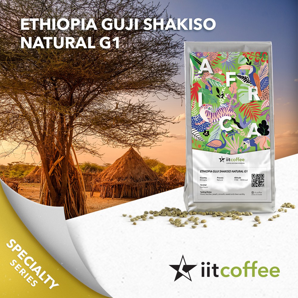 Jual Arabica Green Beans - Ethiopia Guji Shakiso Natural G1 - 1Kg | Shopee Indonesia