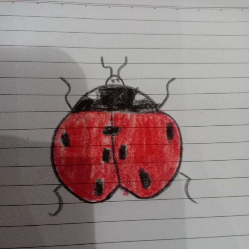 Jual toko gambar | Shopee Indonesia