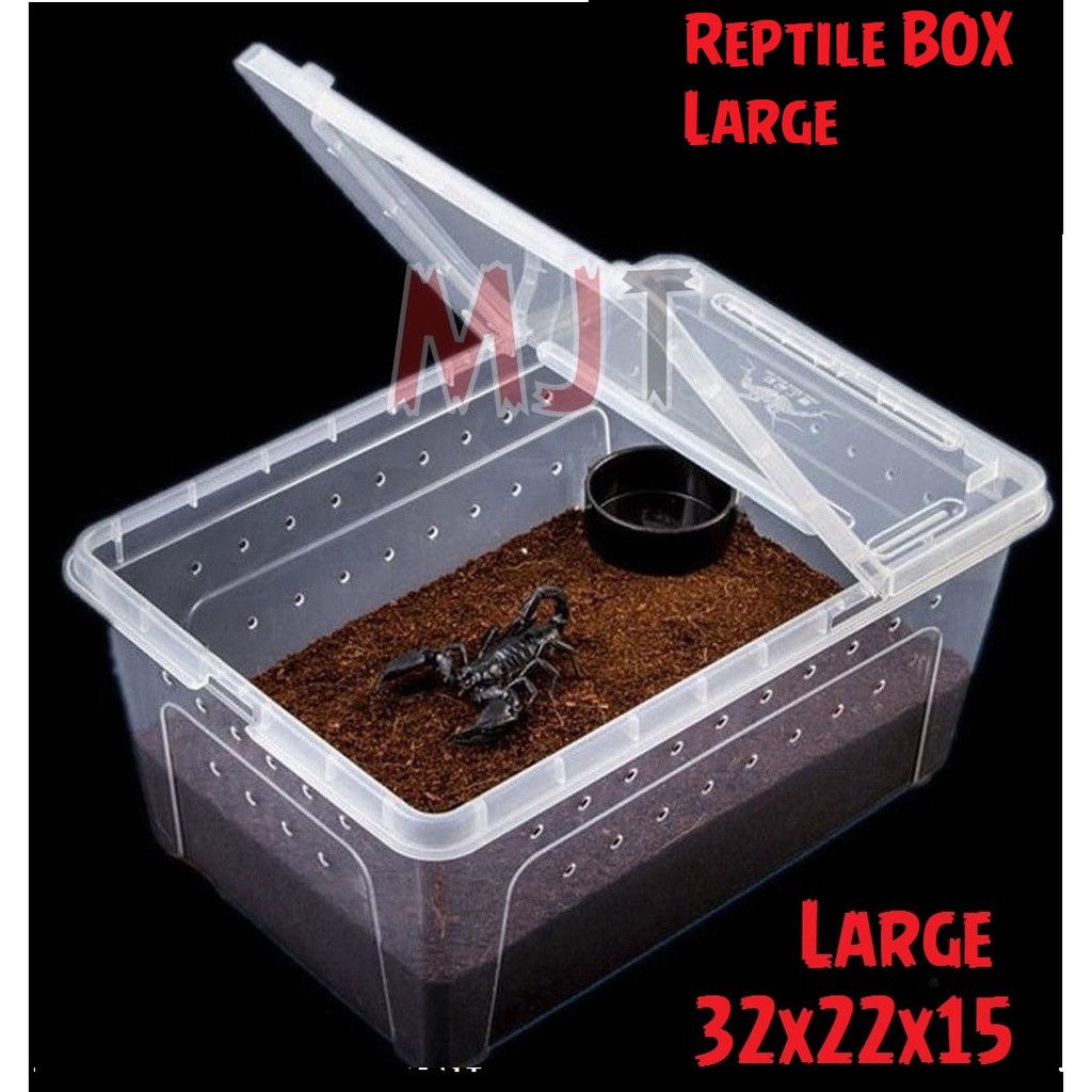 Jual Square Box Reptile L 32x22x15cm - Feeding Box - Kotak Reptil ...