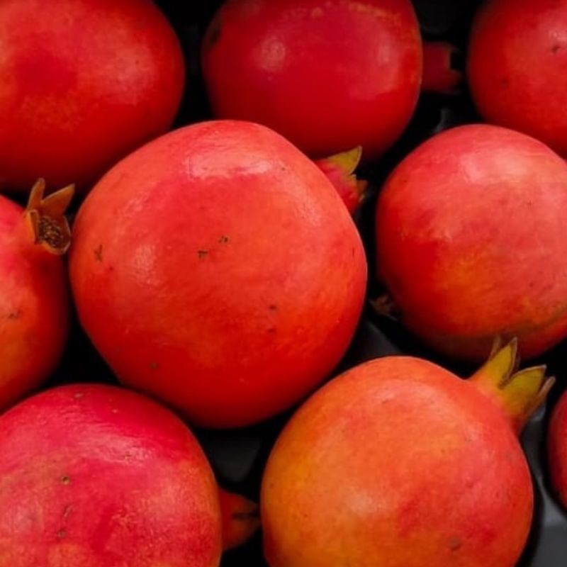 Jual BUAH DELIMA MERAH IMPORT PREMIUM 1 DUS | Shopee Indonesia