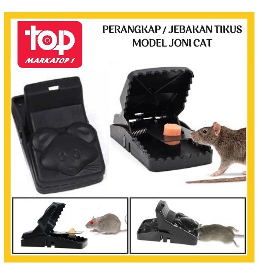Jual Perangkap Tikus Jebakan TIKUS Mouse Trap Model Double Spring AA ...