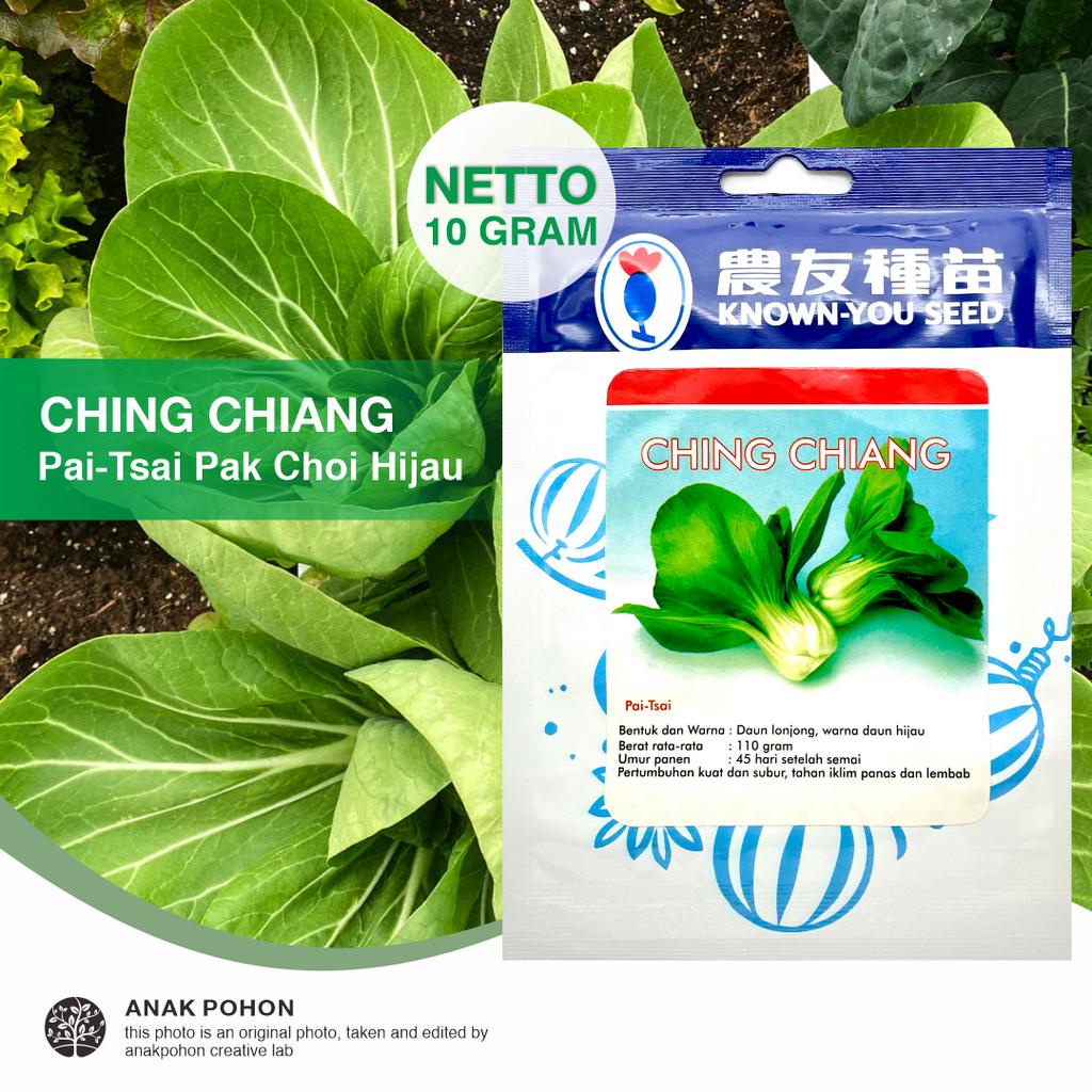 Jual (1 PACK) Benih Pak Choy CHING CHIANG Pakcoy Pak Choi Hijau Seeds ...