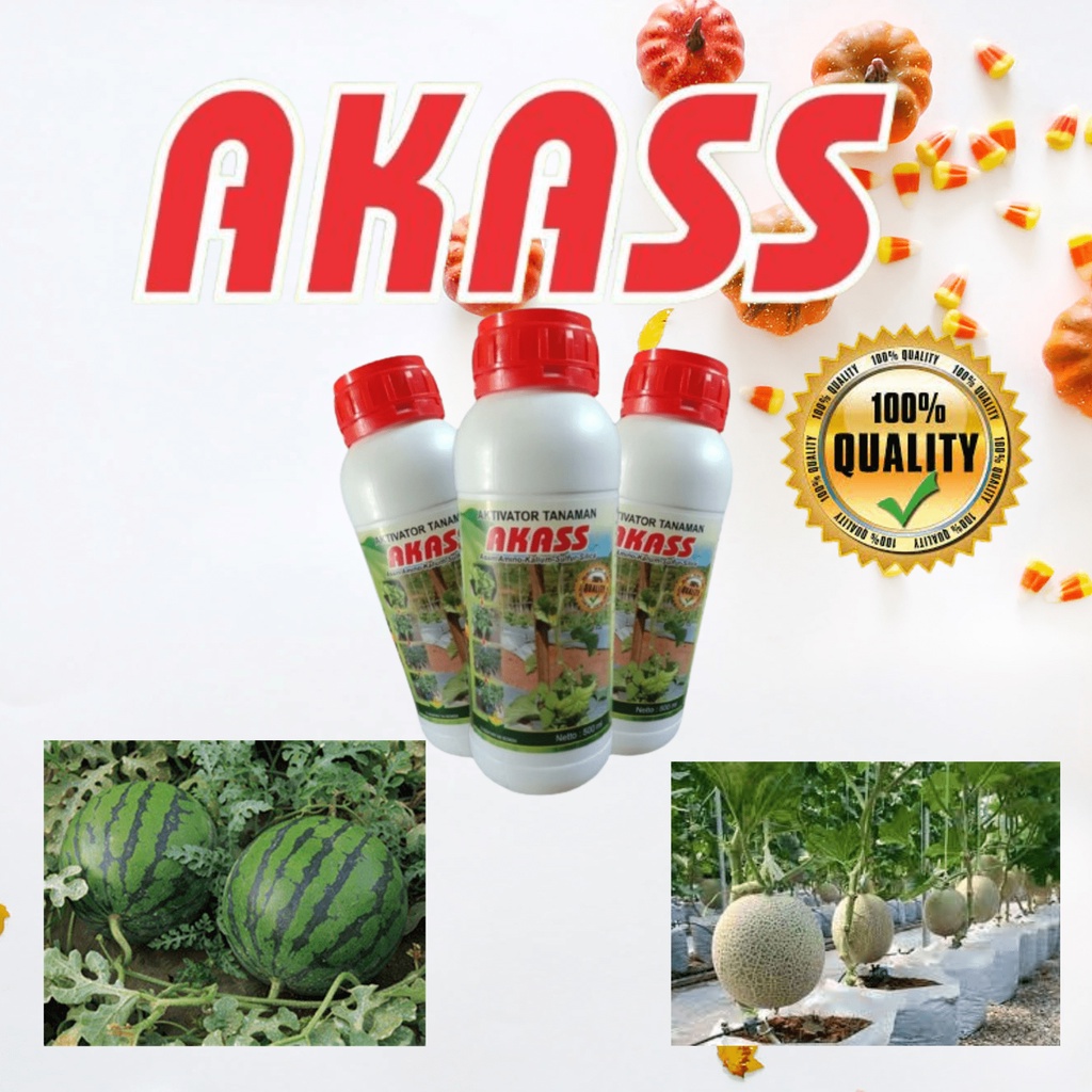 Jual TERAMPUH!!AKASS 1000 ml - Obat Daun Keriting dan Puret / Nutrisi ...