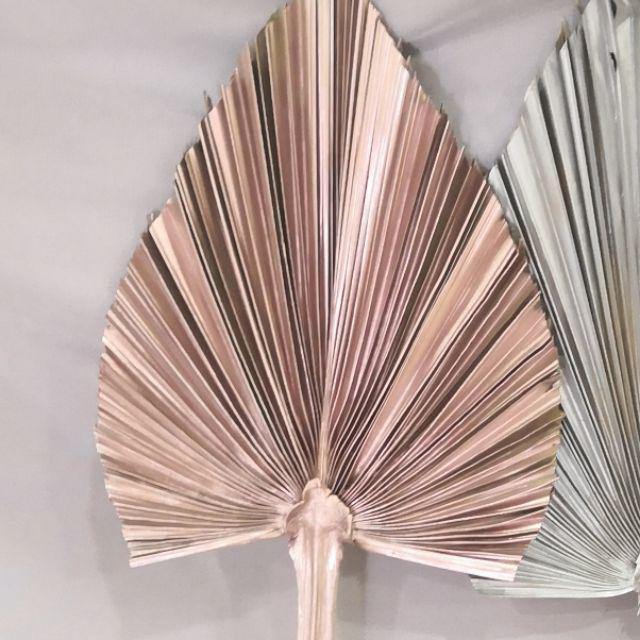 Jual Daun Palem / Palem Rustik / Daun Rustik/ Daun Palm bunga kering ...