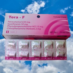 Jual TERA F TABLET PER BOX | Shopee Indonesia