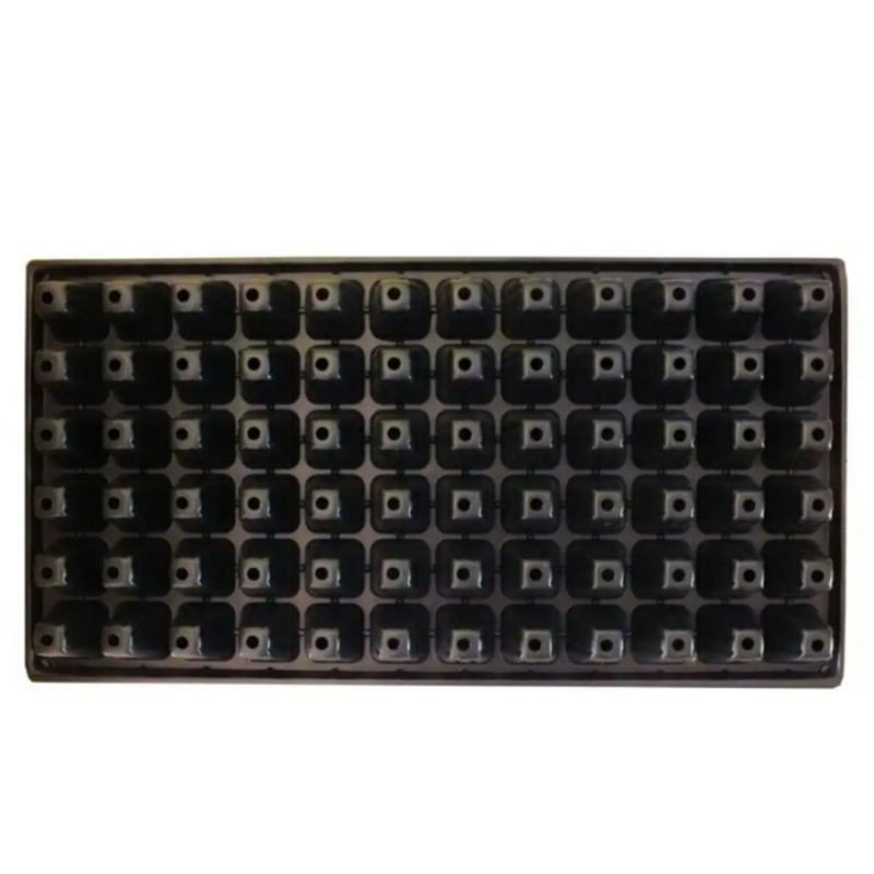 Jual Tray Semai / Seedling Tray - 72 Lubang TRAY TANAMAN | Shopee Indonesia