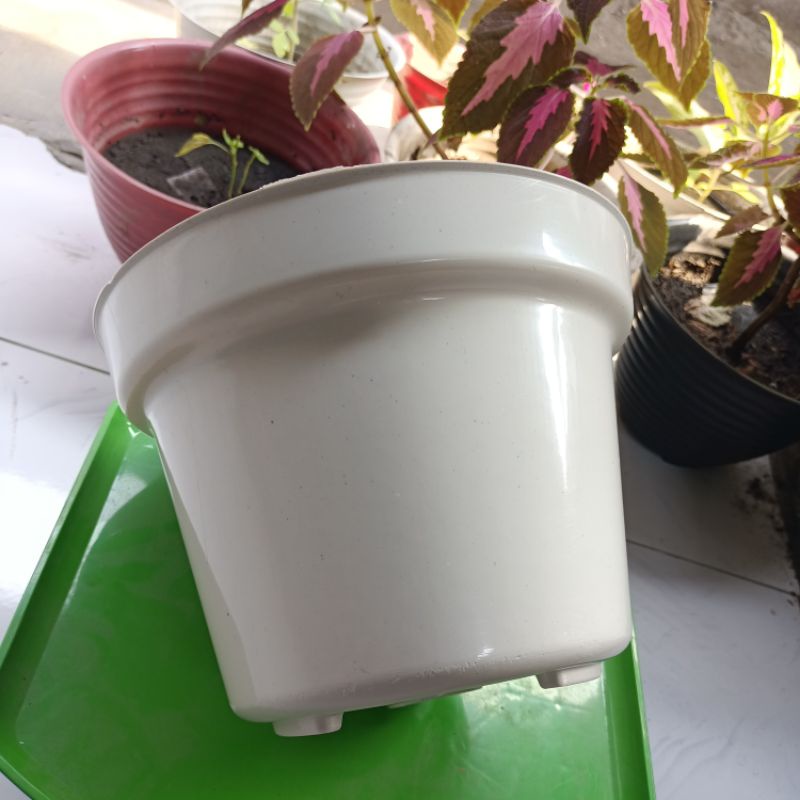 Jual pot bunga ukuran 25 putih | Shopee Indonesia