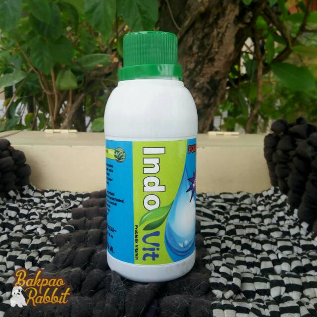Jual INDOVIT HERBAL PROBIOTIK KELINCI 250 ML | Shopee Indonesia