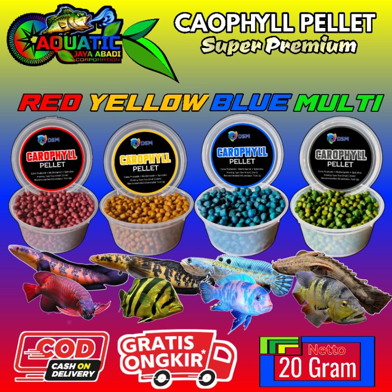Jual Pelet Channa Pellet Carophyll 20 Gram | Shopee Indonesia