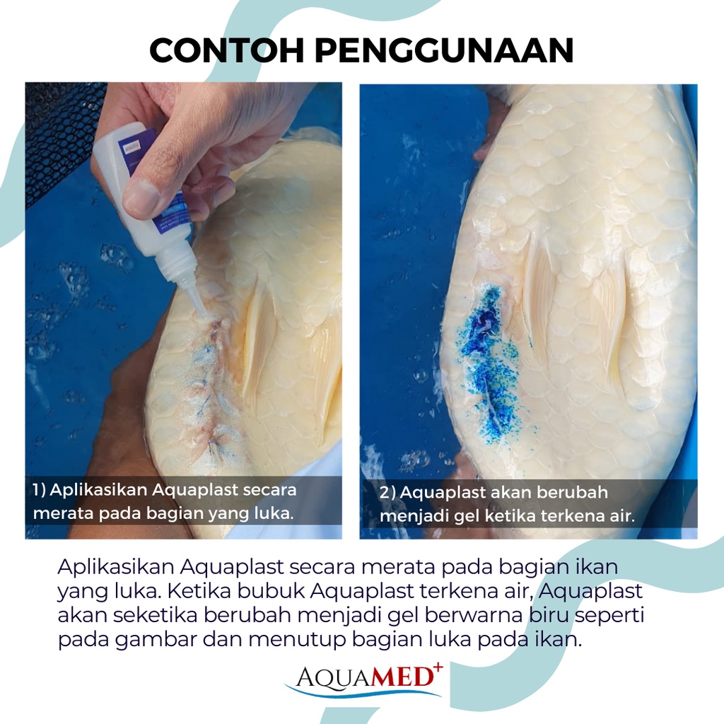 Jual AQUAPLAST Fish Bandage Obat Luka Ikan Koi Arwana Ulcer Bakteri ...