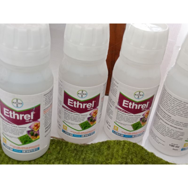 Jual Ethrel 480 SL 100ml | Shopee Indonesia