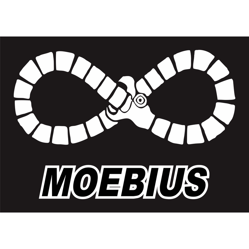 Jual Poster Bendera Logo Geng Tokyo Revengers, Tokyo Manji (Toman ...