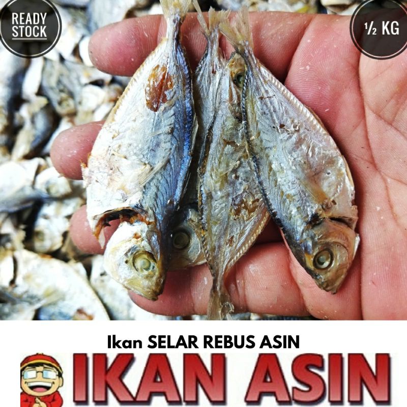 Jual Ikan Asin SELAR REBUS 500 gr | Shopee Indonesia
