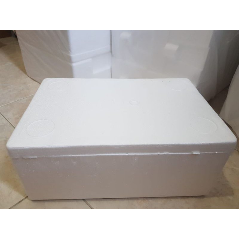Jual Styrofoam box 5KG / Cooler box / box gabus 5KG | Shopee Indonesia
