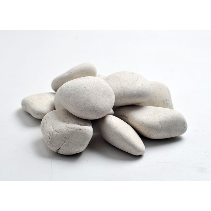 Jual Batu Koral Kupang Putih 5Kg | Shopee Indonesia