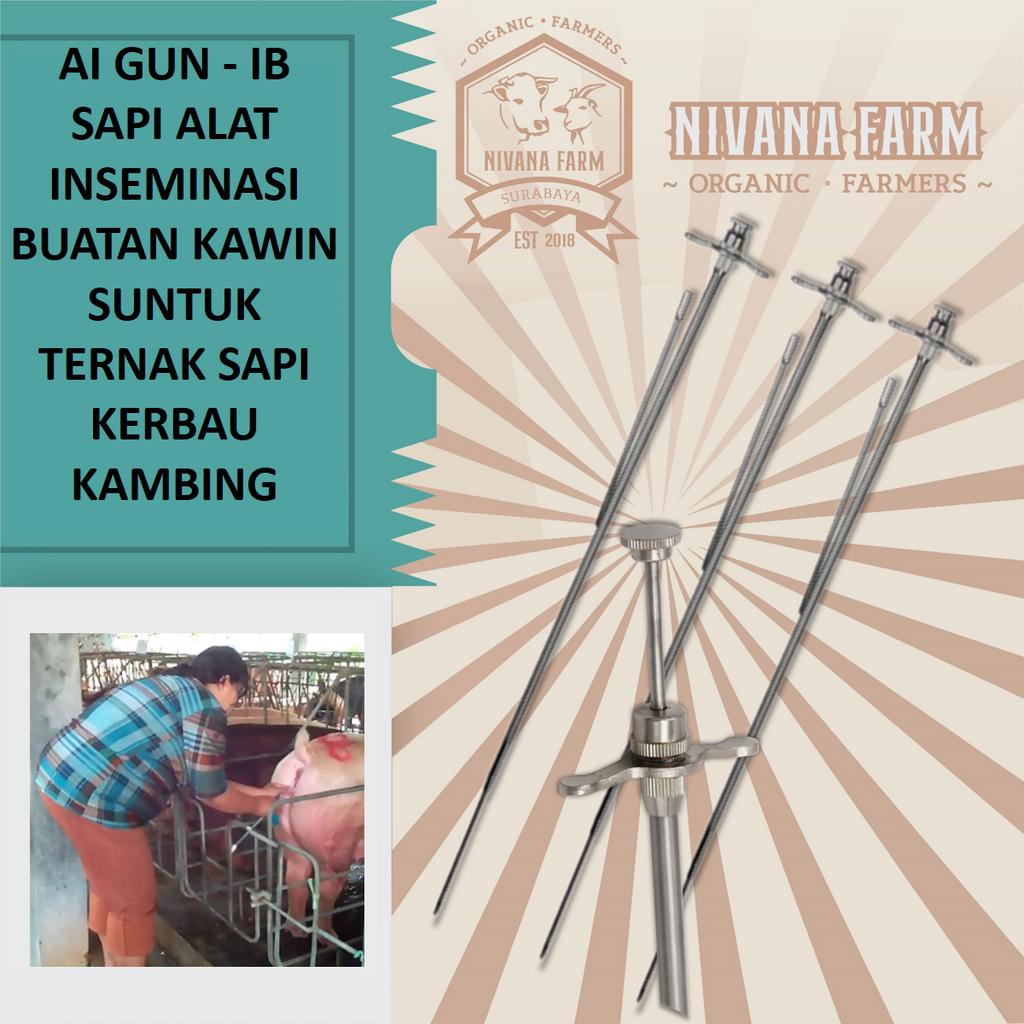Jual AI Gun - IB Sapi Alat Inseminasi Buatan Kawin Suntik Ternak Sapi Kerbau Kambing | Shopee ...