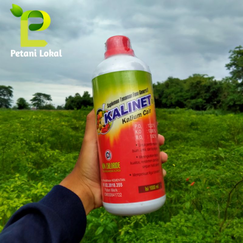 Jual KALINET Kalium Cair Obat Bunga Buah Kemasan 1 Liter | Shopee Indonesia