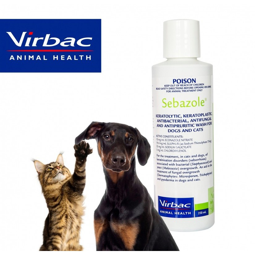 Jual Virbac Sebazole Shampoo Anti Jamur Sakit Kulit Anjing Kucing 250 ...