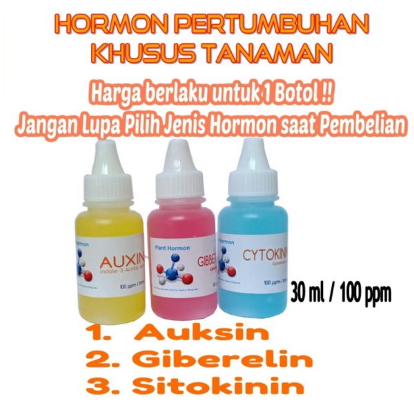 Jual Unik Hormon Tanaman Auksin Giberelin Sitokinin 100 ppm 30 ml ...