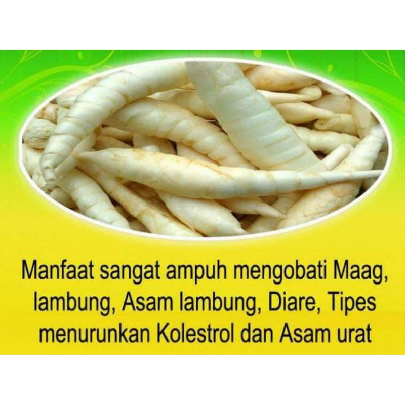 Jual tepung pati angkrik irut Pati umbi Garut | Shopee Indonesia