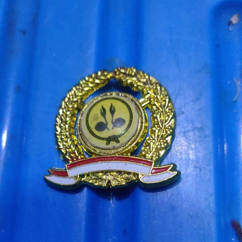 Jual PIN Pramuka tunas kelapa,kitri, saka Bhayangkara, saka Wira ...
