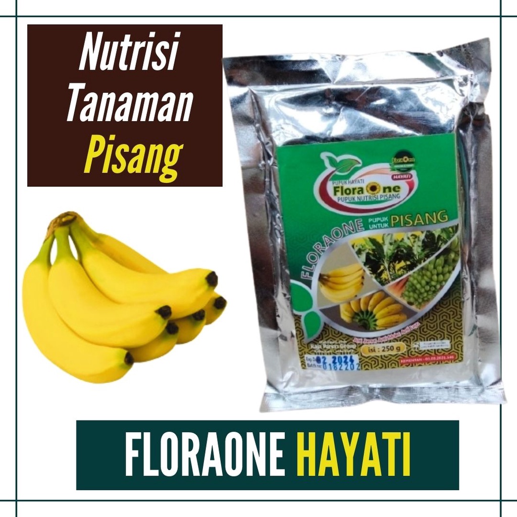 Jual Pupuk Untuk Pisang Raja, Floraone Hayati Pupuk Booster Penyubur Tanaman Pisang | Shopee ...