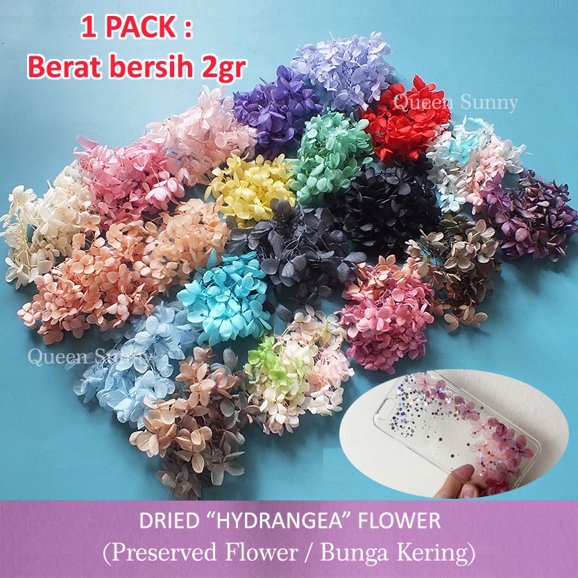 Jual Bunga Kering Asli HYDRANGEA Real Dry Flower Isian Resin Nail Art ...