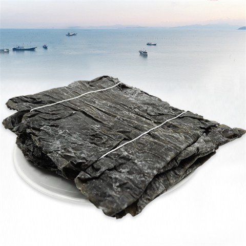 Jual SGS Kombu Konbu Dashima Rumput Laut Kering Dried Seaweed | Shopee ...