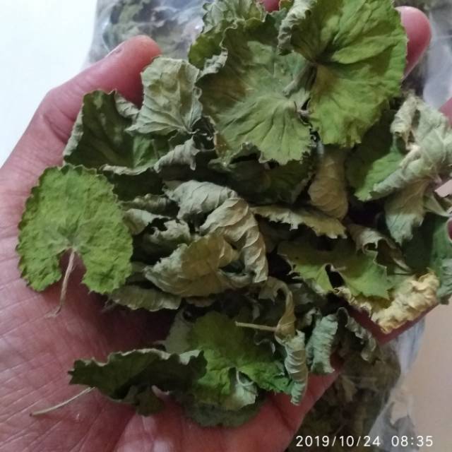 Jual Daun Antanan. Daun Pegagan Kering tanpa akar dan batang | Shopee ...