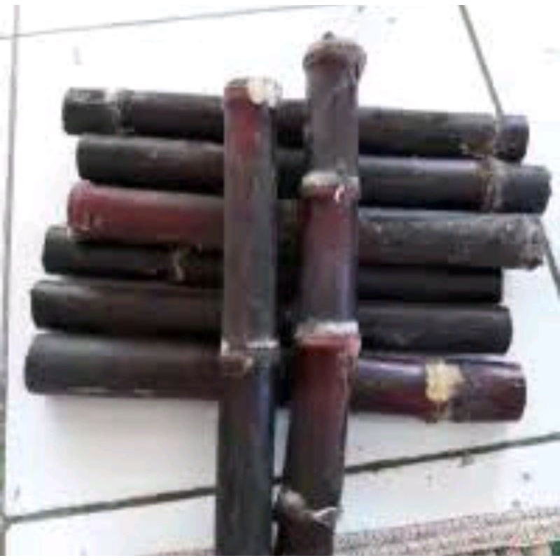 Jual stek tebu hitam tebu wulung per 3batang 40cm | Shopee Indonesia