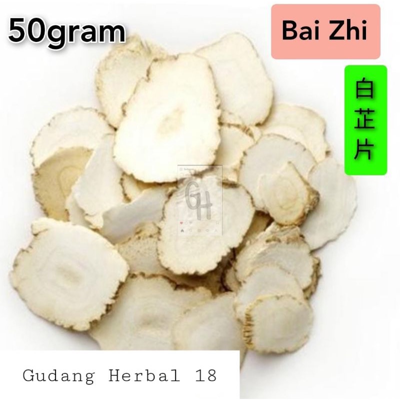 Jual 50gram Bai Zhi / Pek Chi / Angelica Root 白芷 Radix Angelicae ...