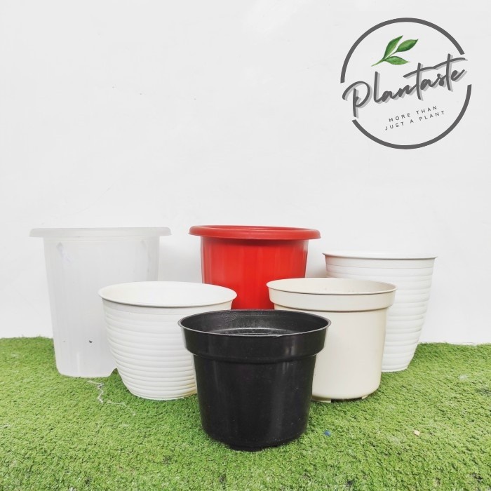 Jual Aneka Pot Plastik Diameter 15cm Pot Kecil Bibit Tanaman Hias Mini ...