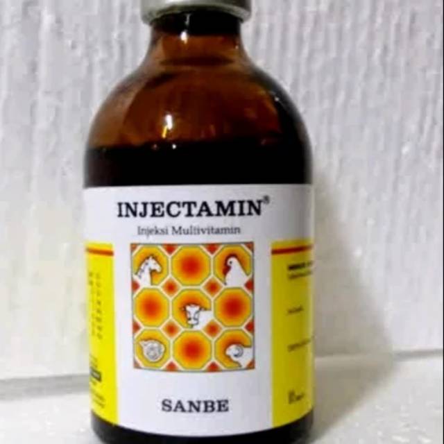 Jual Injectamin injektamin multivitamin 100ml | Shopee Indonesia