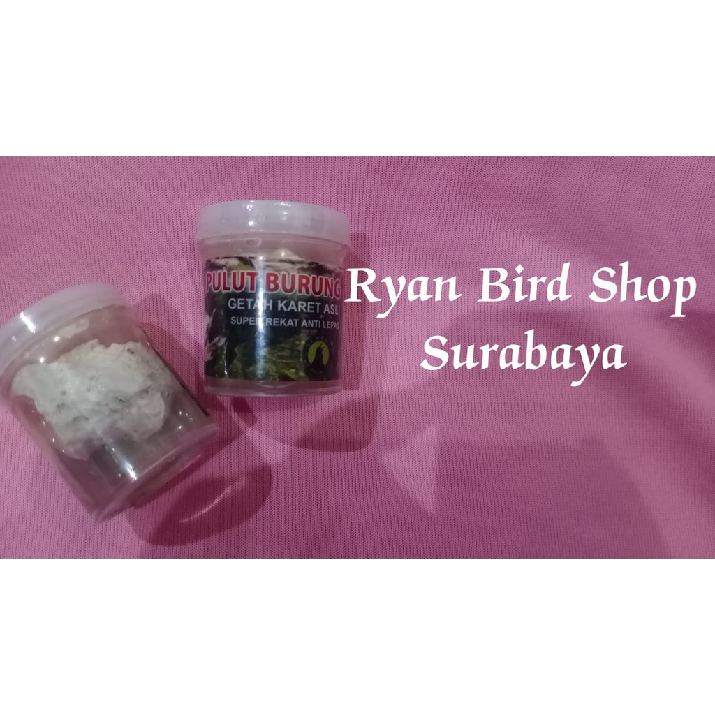 Jual PULUT GETAH KARET ASLI LEM SUPER LENGKET PERANGKAP KAKI BURUNG ...