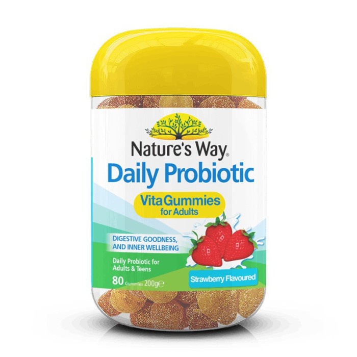 Jual Natures Way Daily Probiotic Vita Gummies Adult 80 Gummy Probiotik ...