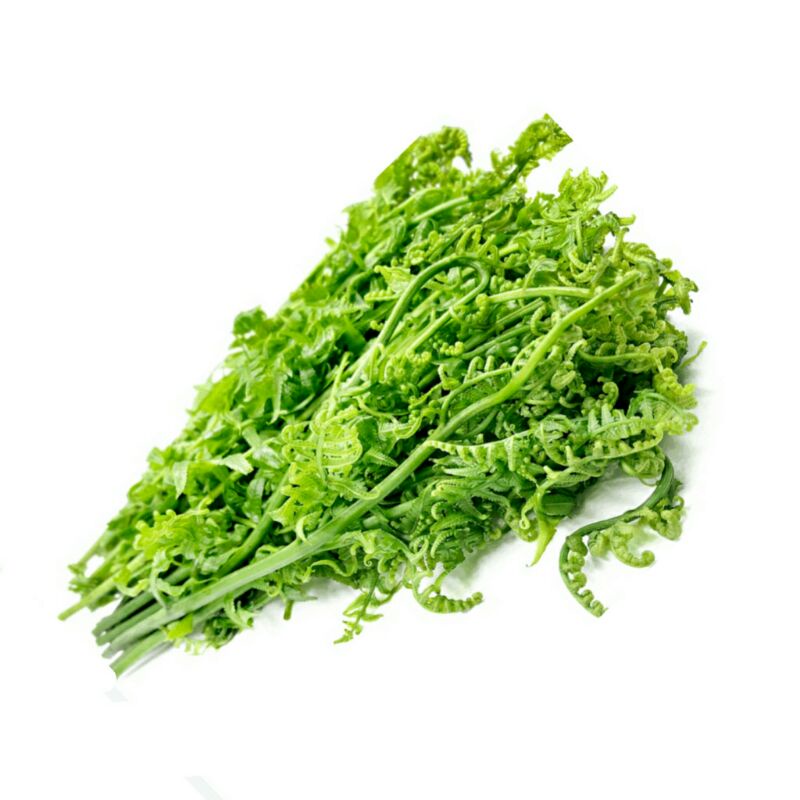 Jual Daun Pakis Muda per ikat - Gerobak Sayur Palembang | Shopee Indonesia