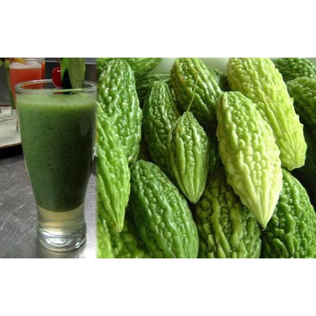 Jual Jual Bibit Sayur Pare Segudang manfaat Tanaman Merambat Murah ...