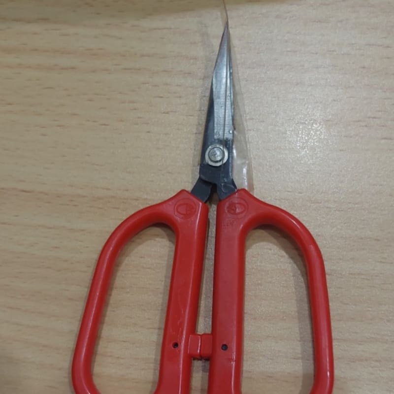 Jual GUNTING KODOK daun ranting BENGKOK GAGANG MERAH KAIN BENANG ...