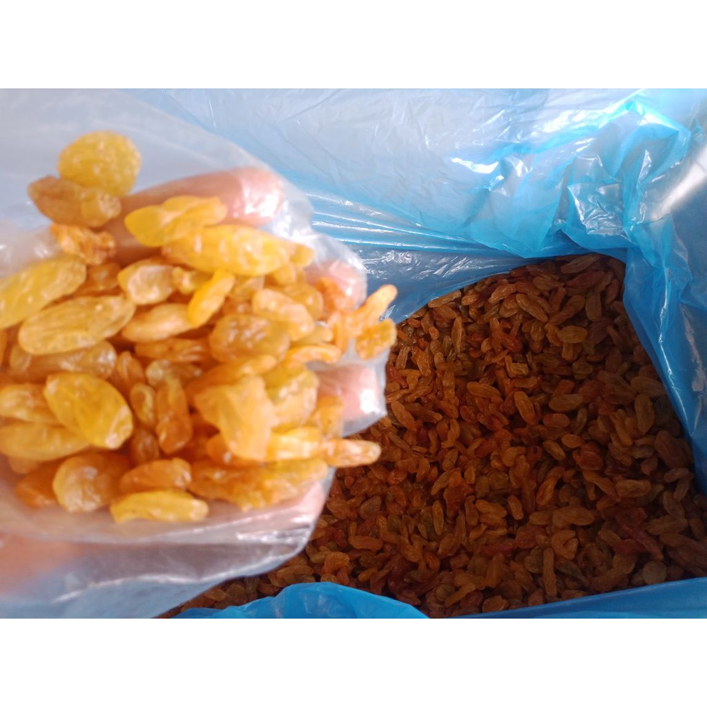 Jual kismis golden gold 1 kg | Shopee Indonesia