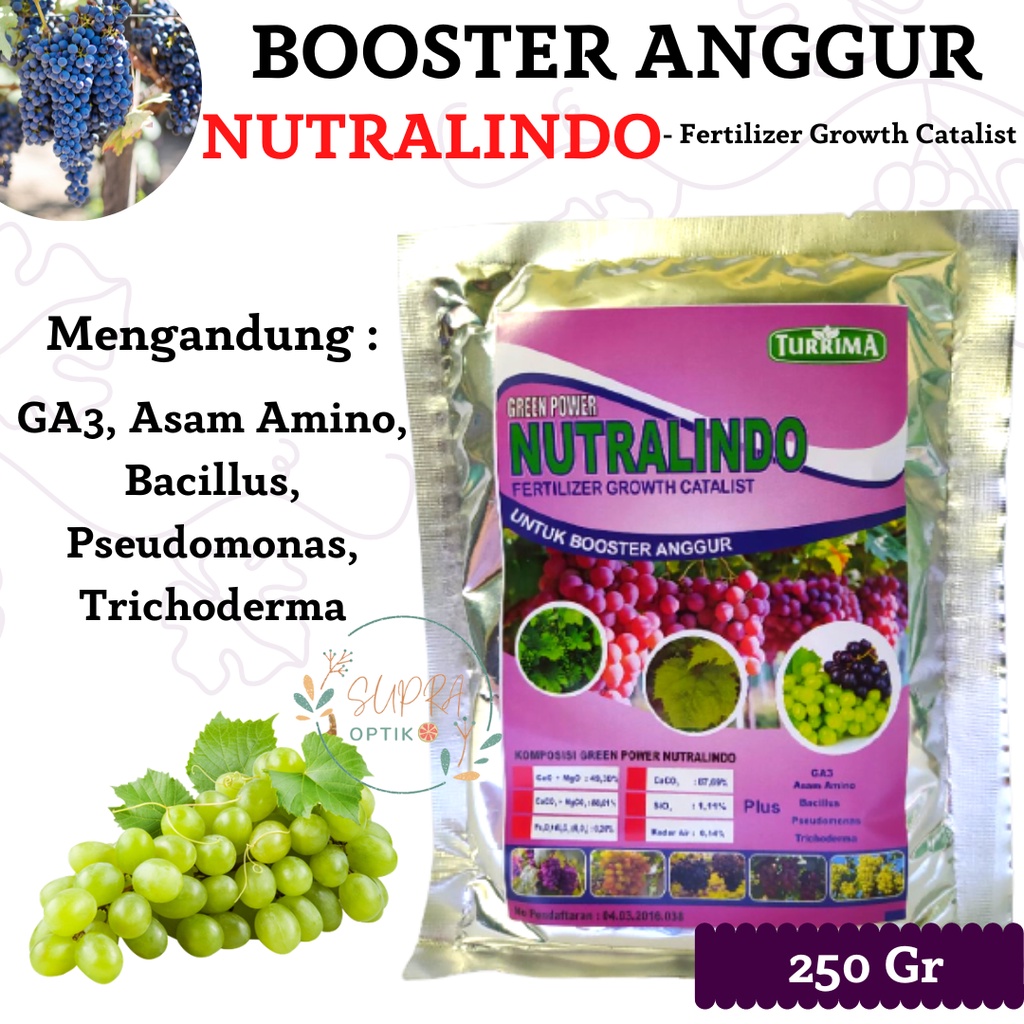 Jual Pupuk Organik Pelebat Anggur, Booster Mangga Terbaik, Pupuk Buah ...