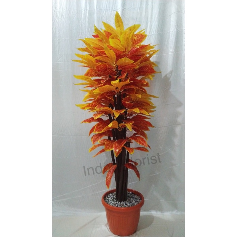 Jual Indah Florist Pohon Hias 160cm Golden Lucky Pucuk Muda