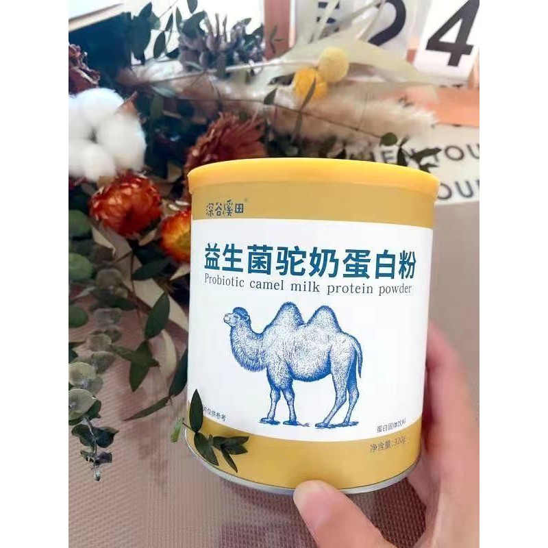 Jual Probiotic Camel Milk Protein Powder / Susu Unta Bubuk | Shopee ...