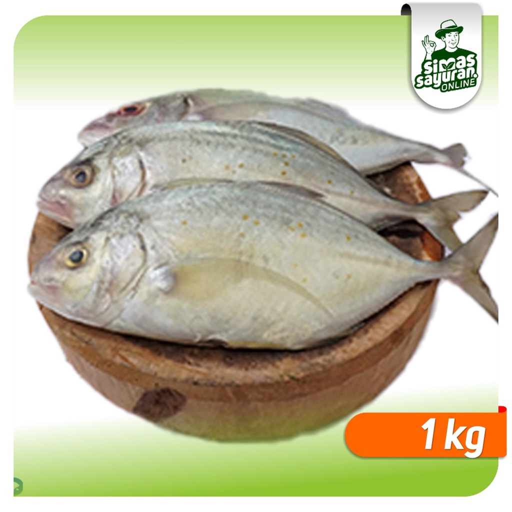 Jual Ikan Simba Kuwe 1 kg | Shopee Indonesia