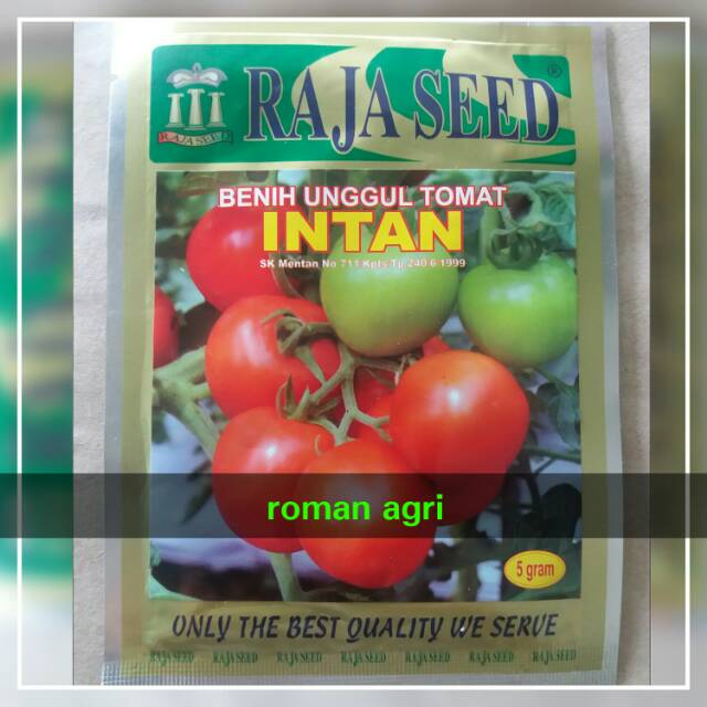 Jual Benih Tomat INTAN isi 5 gram Benih Raja Seed | Shopee Indonesia