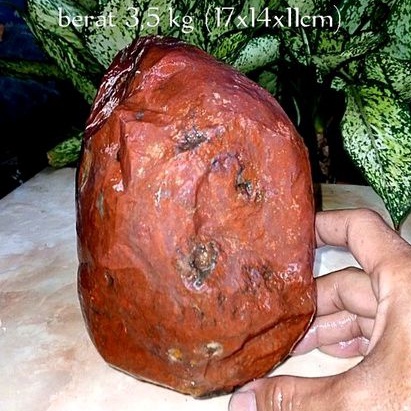 Jual 3,500 kg batu red jasper(301) | Shopee Indonesia
